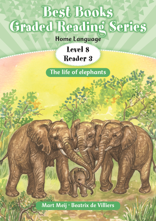 NB Publishers | Best Books Grade 2 Home Language Graded Reader Level 8 ...