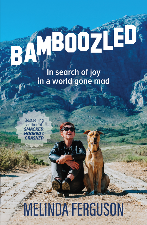 NB Publishers | BAMBOOZLED